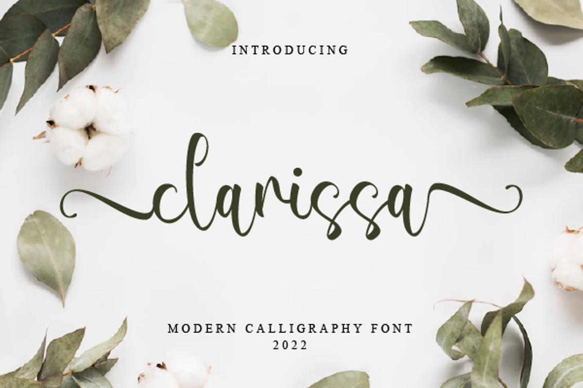 Clarissa Font | Fiqiart | FontSpace