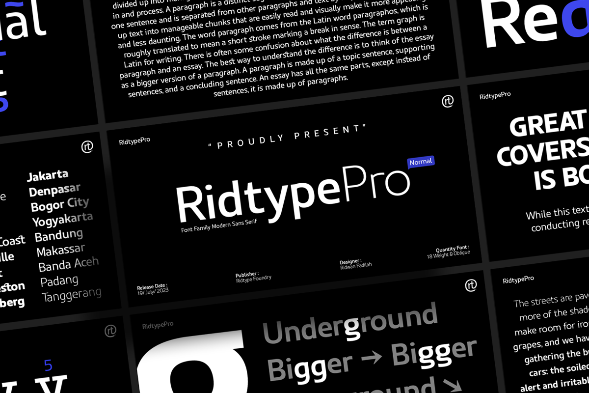 Ridtype Pro Font Family Demo | Ridtype | FontSpace