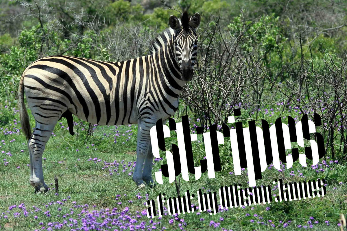 Stripes Font | Chequered Ink | FontSpace