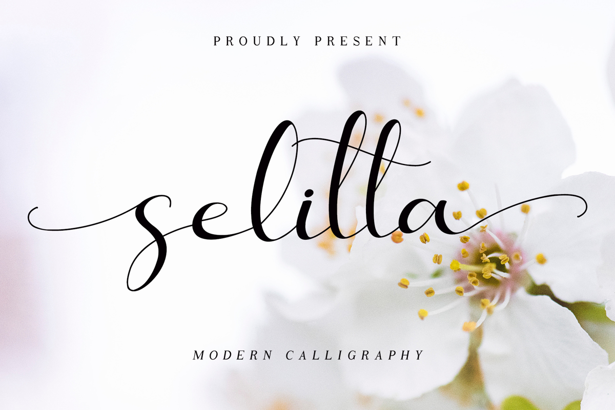 Selitta Font - Free Download