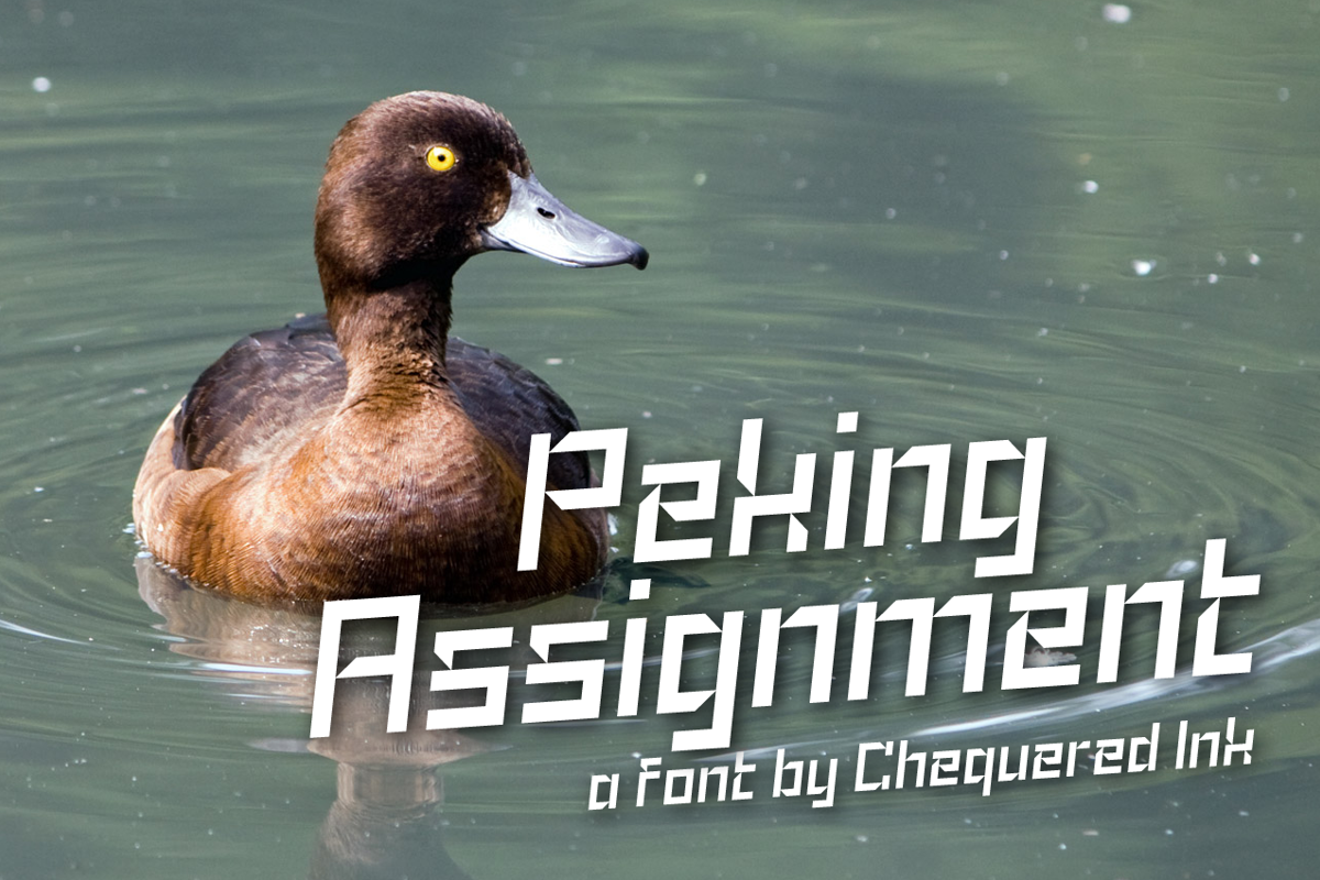 Peking Assignment Font | Chequered Ink | FontSpace