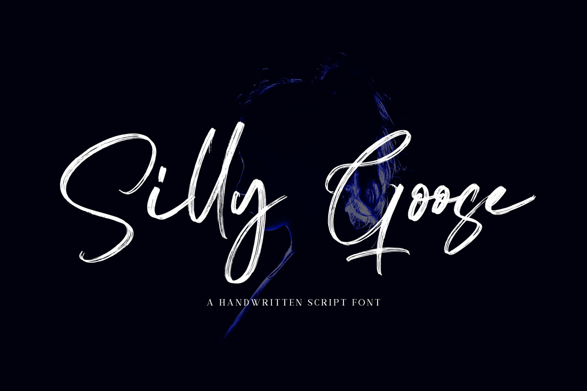 Silly Goose - Handwritten Font | Rometheme | FontSpace