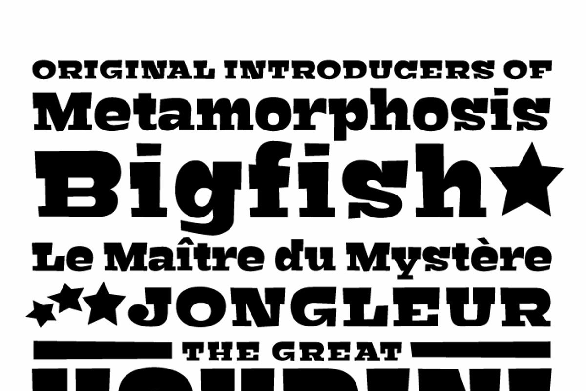 Bigfish Font - Free Download