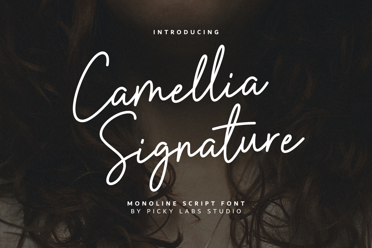 Camellia Signature Font | Picky Labs | FontSpace