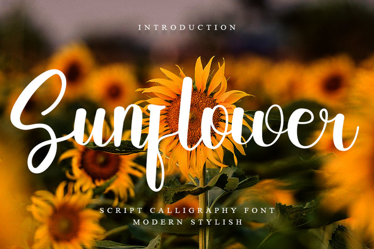 Sunflower Font | FreshTypeINK | FontSpace