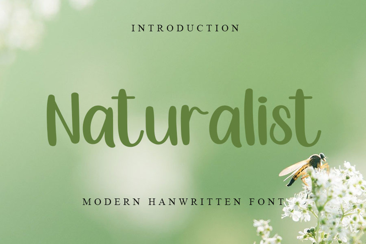 Naturalist Font | FreshTypeINK | FontSpace