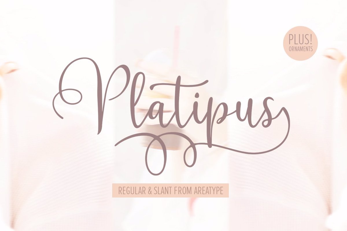 Platipus Font | Solidtype | FontSpace