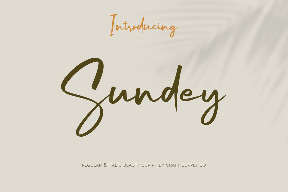 Sundey Font | craftsupplyco | FontSpace