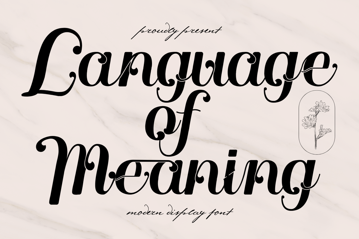 Language of Meaning Font | 177Studio | FontSpace