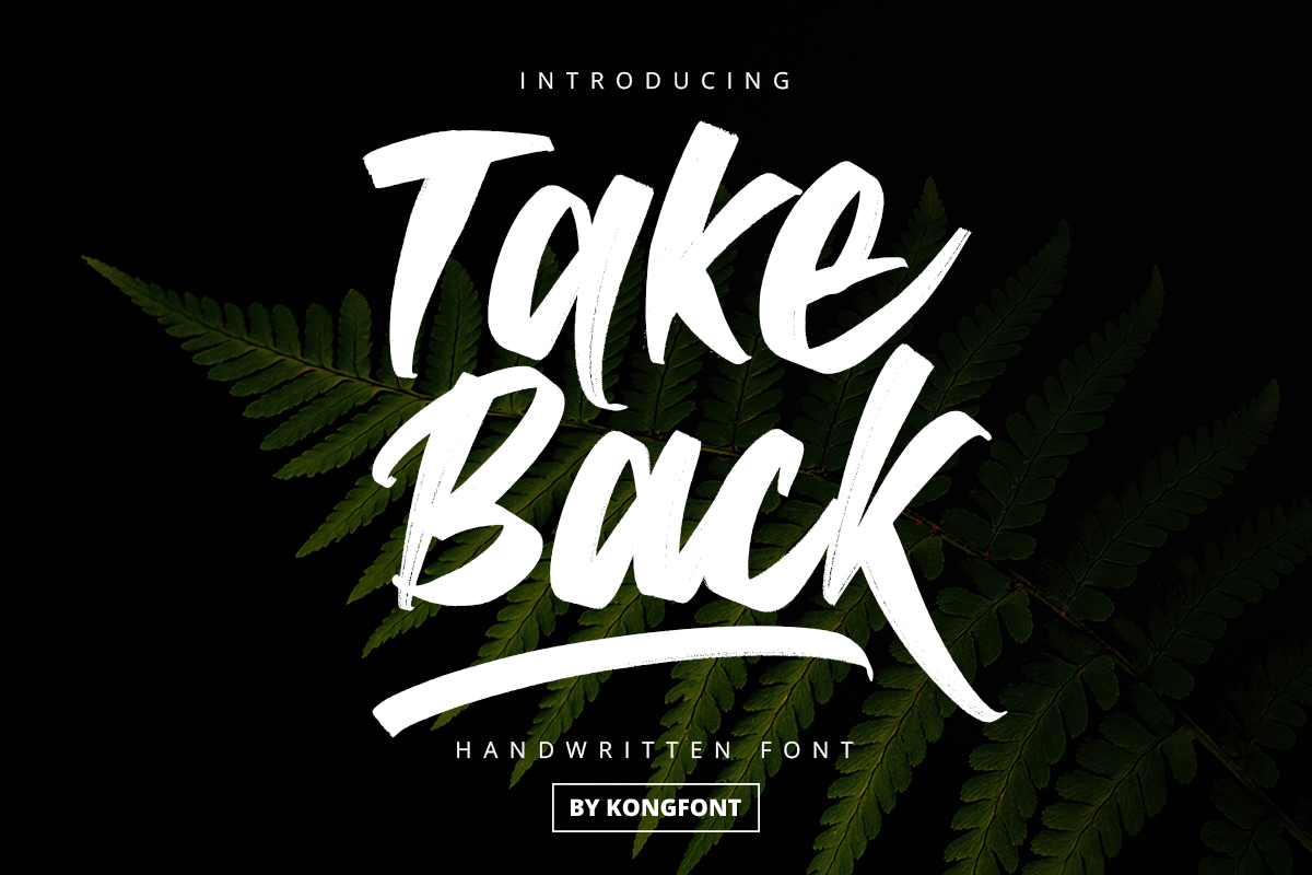Take Back Font | Fontkong | FontSpace