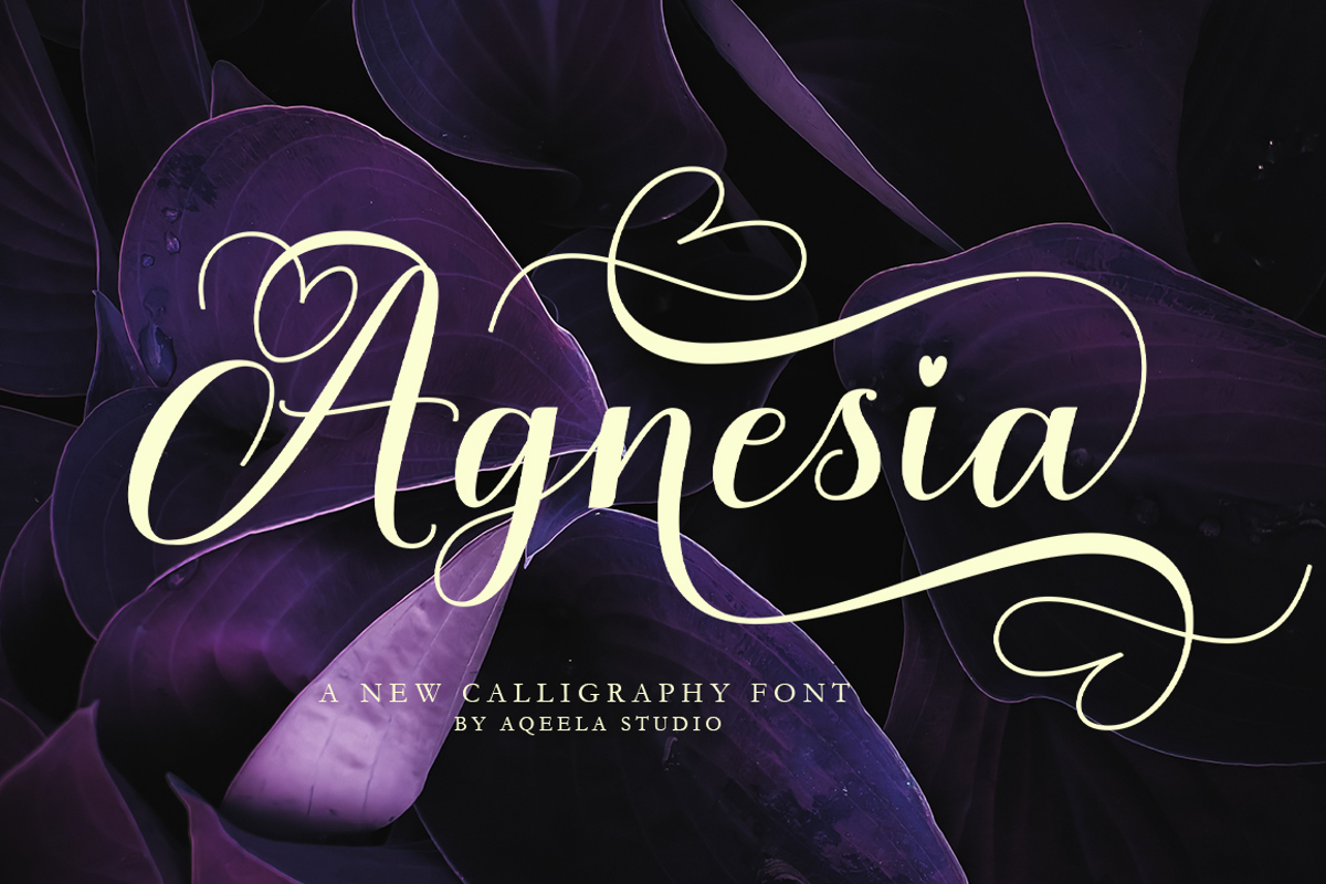 Agnesia Script Font | Solidtype | FontSpace