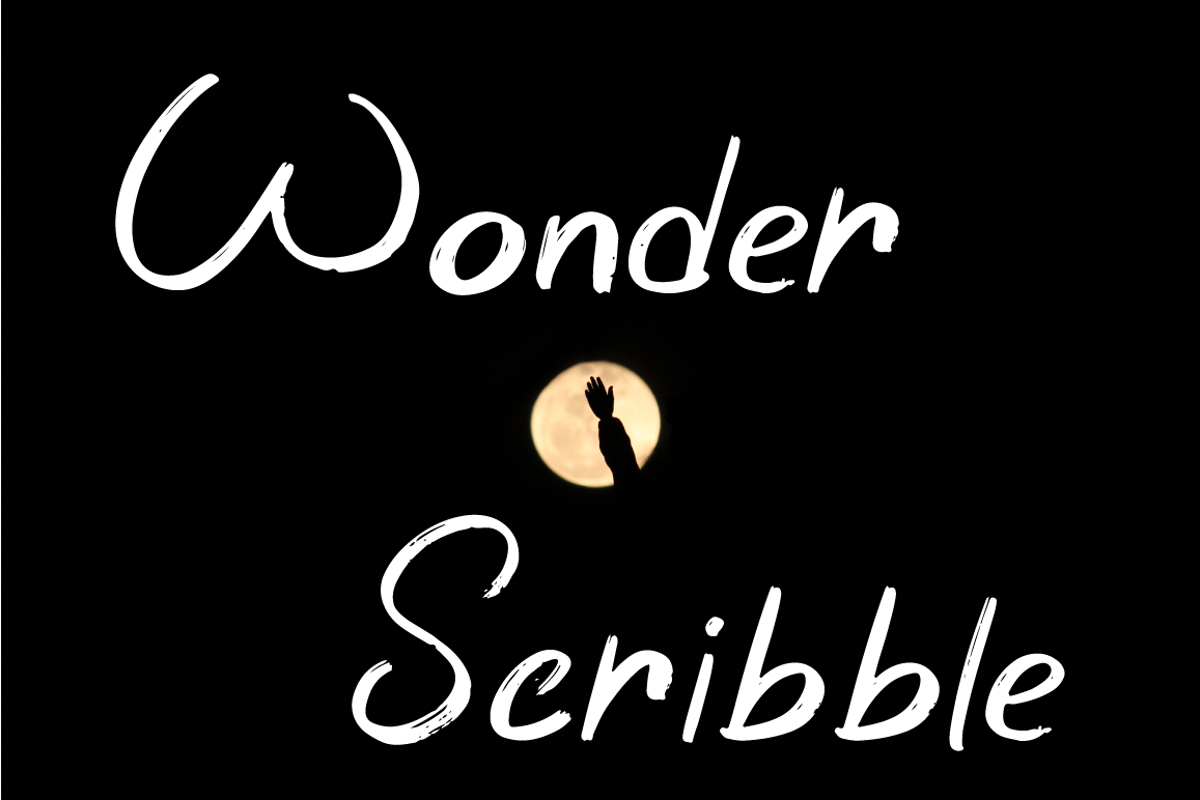 Wonder Scribble Font | Attype Studio | FontSpace