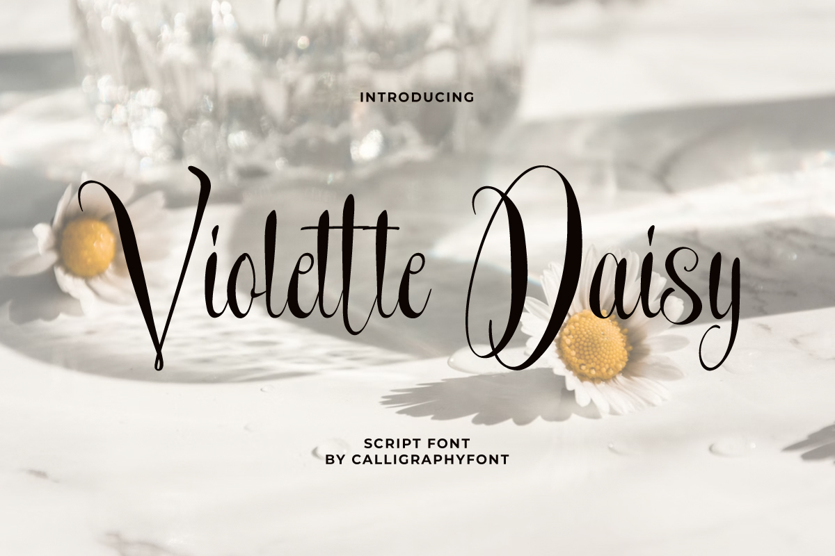 Violette Daisy Font - Free Download