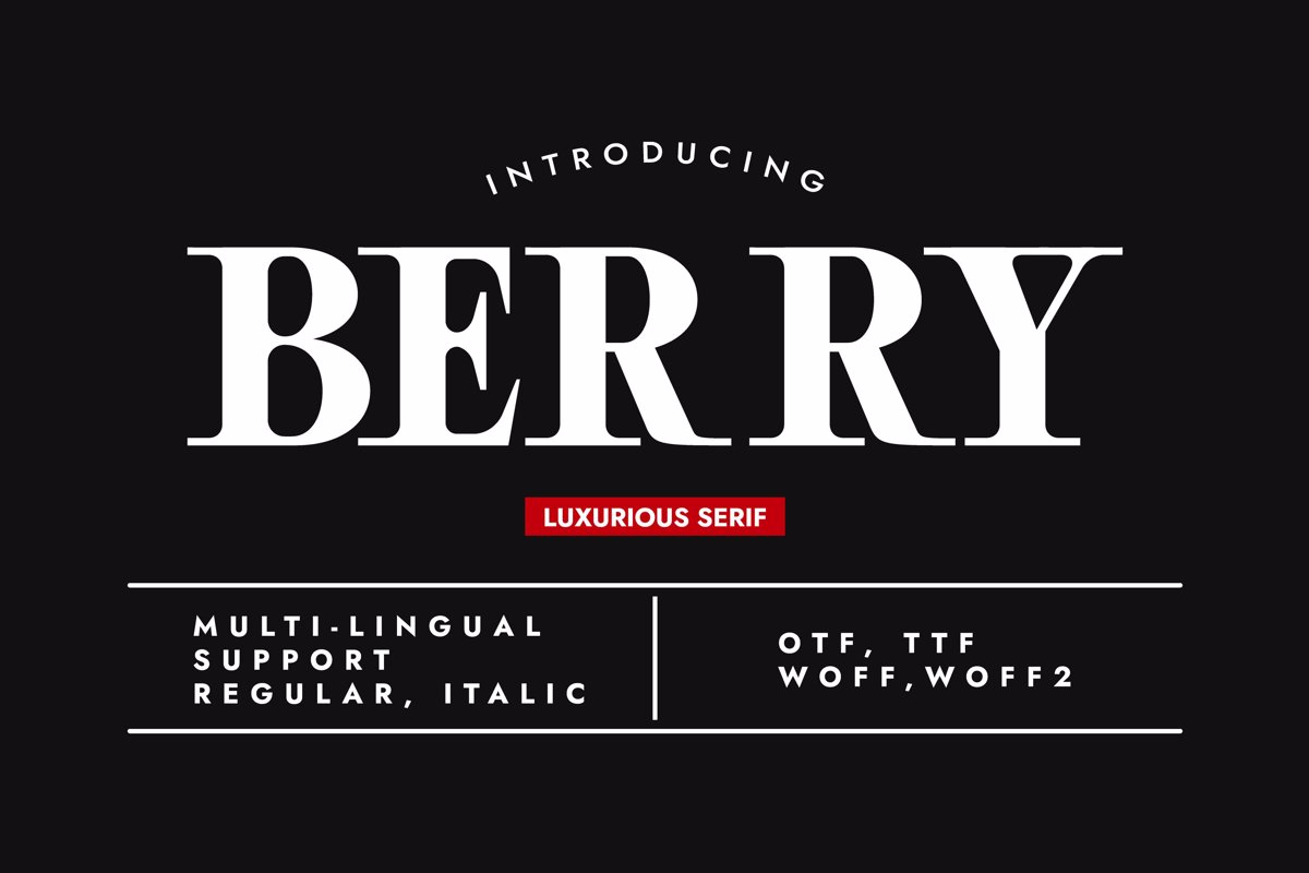 BERRY Font | Minimalistartstudio | FontSpace