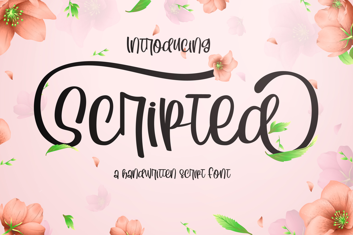Scripted Font | lettercstudio | FontSpace
