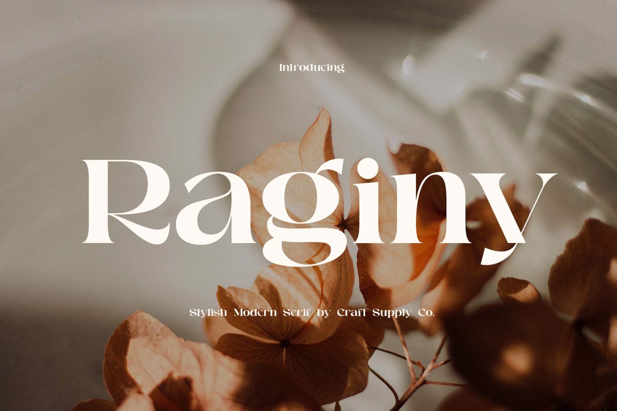 Raginy Font | craftsupplyco | FontSpace