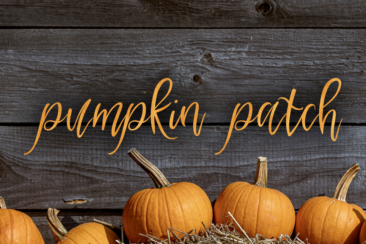 Pumpkin patch Font | JoannaVu | FontSpace