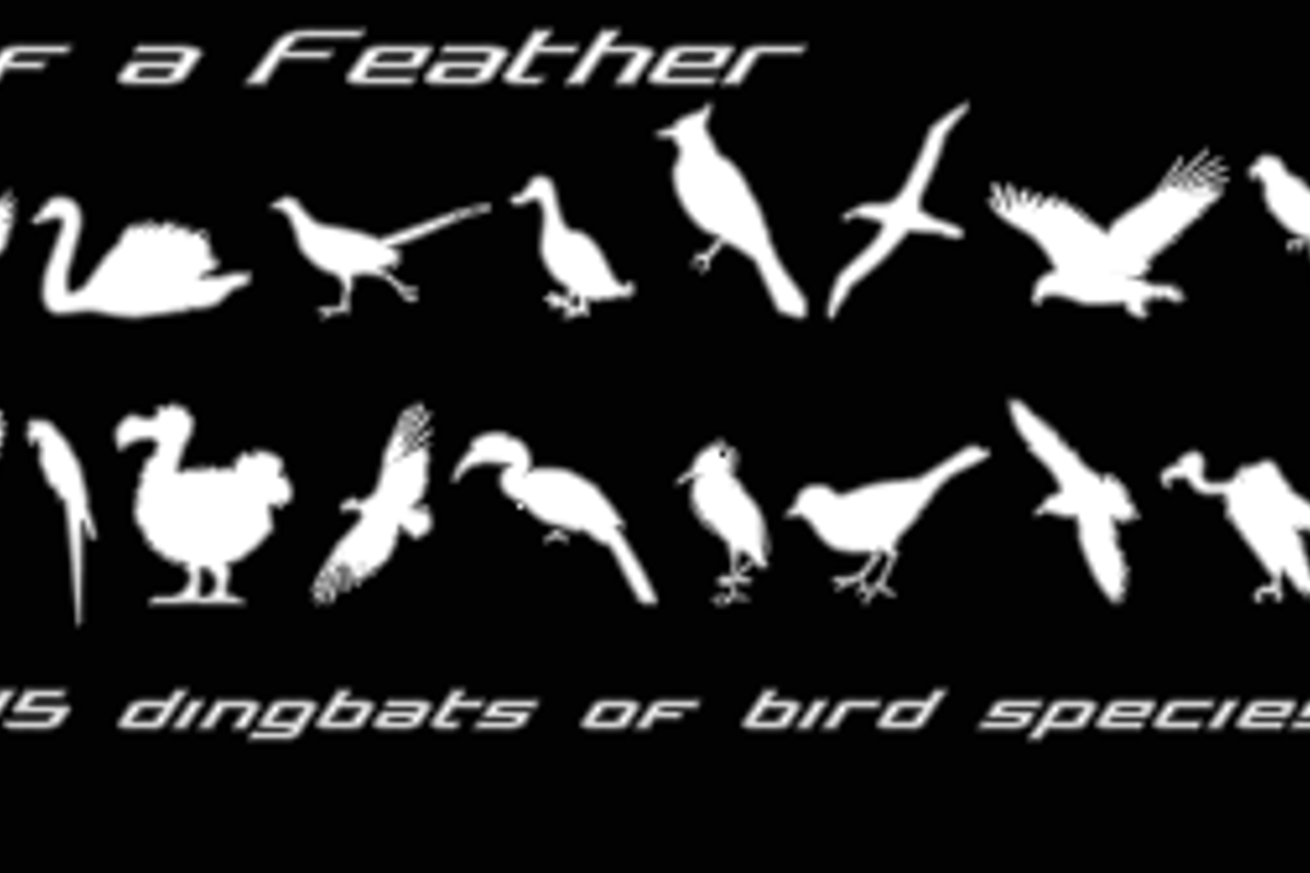 Birds of a Feather Font - Free Download