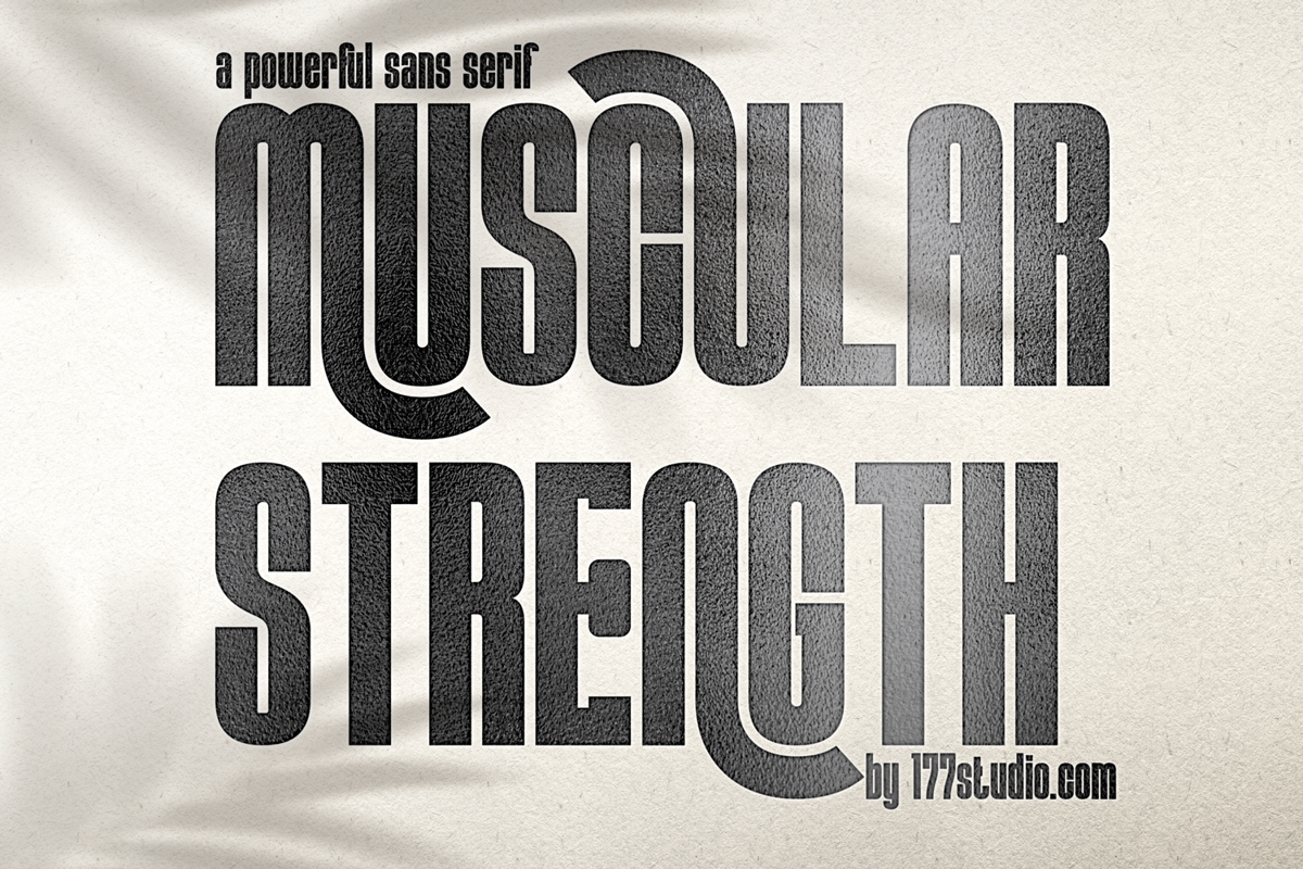 MUSCULAR STRENGTH Font | 177Studio | FontSpace