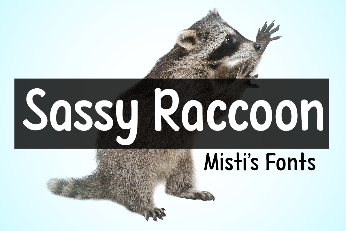 Sassy Raccoon Font | Misti's Fonts | FontSpace
