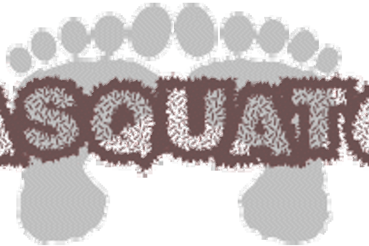Sasquatch Font - Free Download
