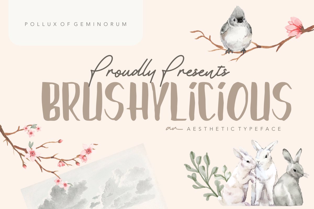 Brushylicious Font | Pollux of Geminorum | FontSpace
