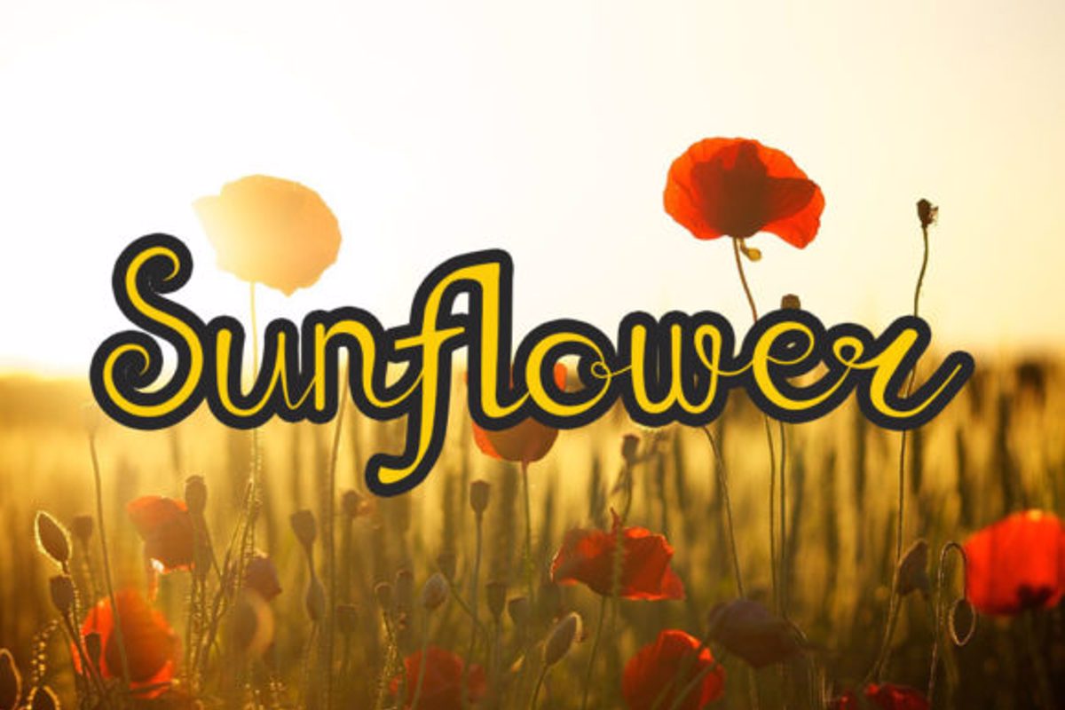 Sunflower Font | rony-studio | FontSpace