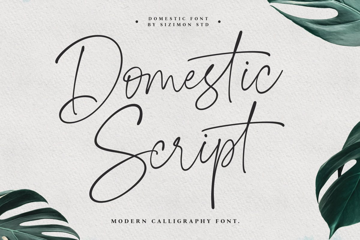 Domestic Script Font | sizimon | FontSpace