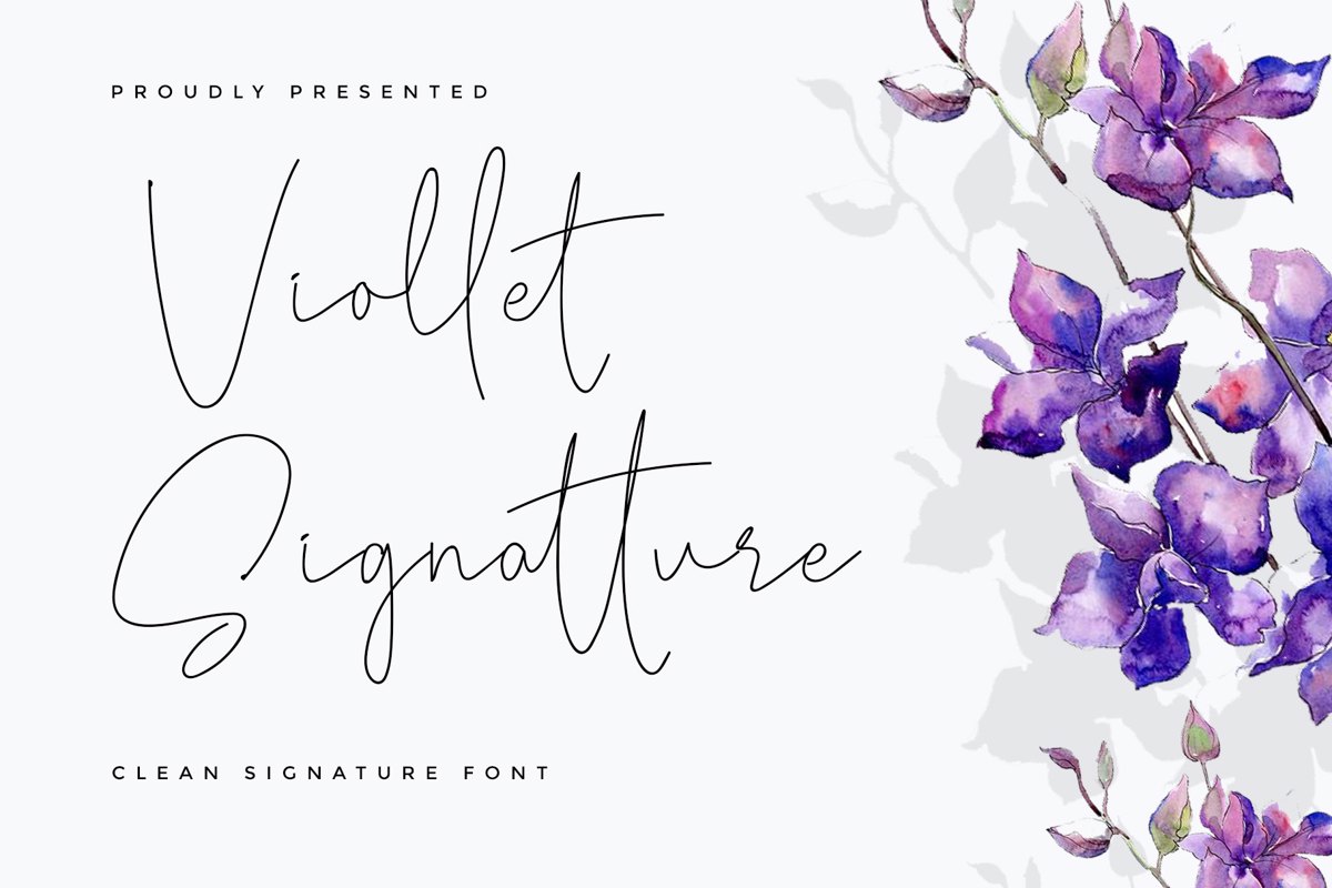Viollet Signatture Font - Free Download