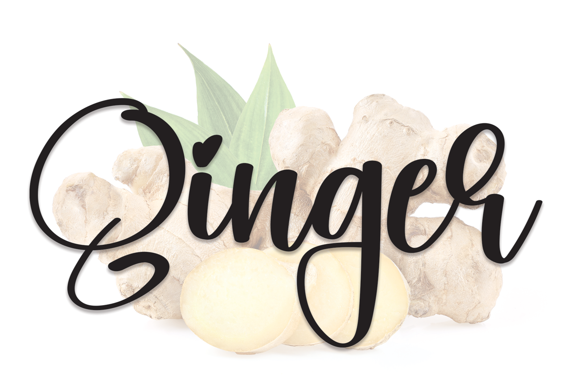 Ginger Font - Free Download