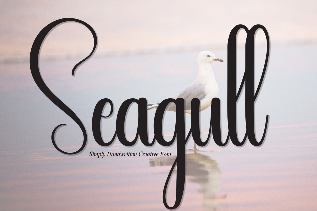 Seagull Font | scratchones_creative | FontSpace