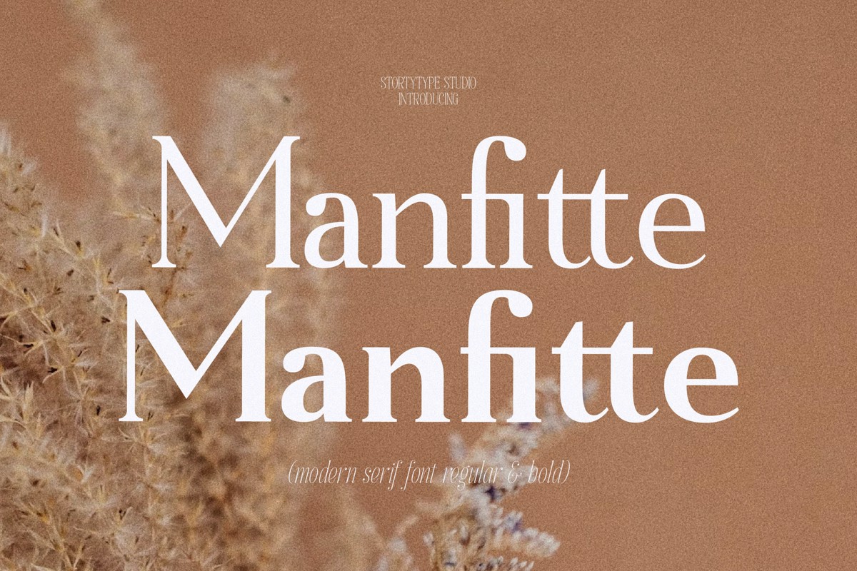 Manfitte Font | Storytype Studio | FontSpace
