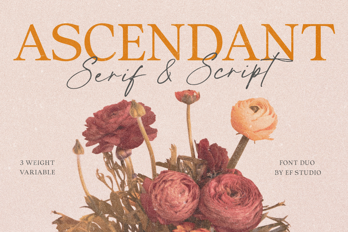 Ascendant Script - Font - Free Download