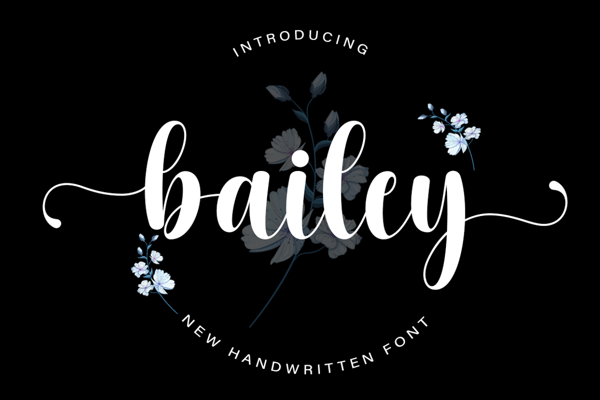 Bailey Font | DN Creative | FontSpace