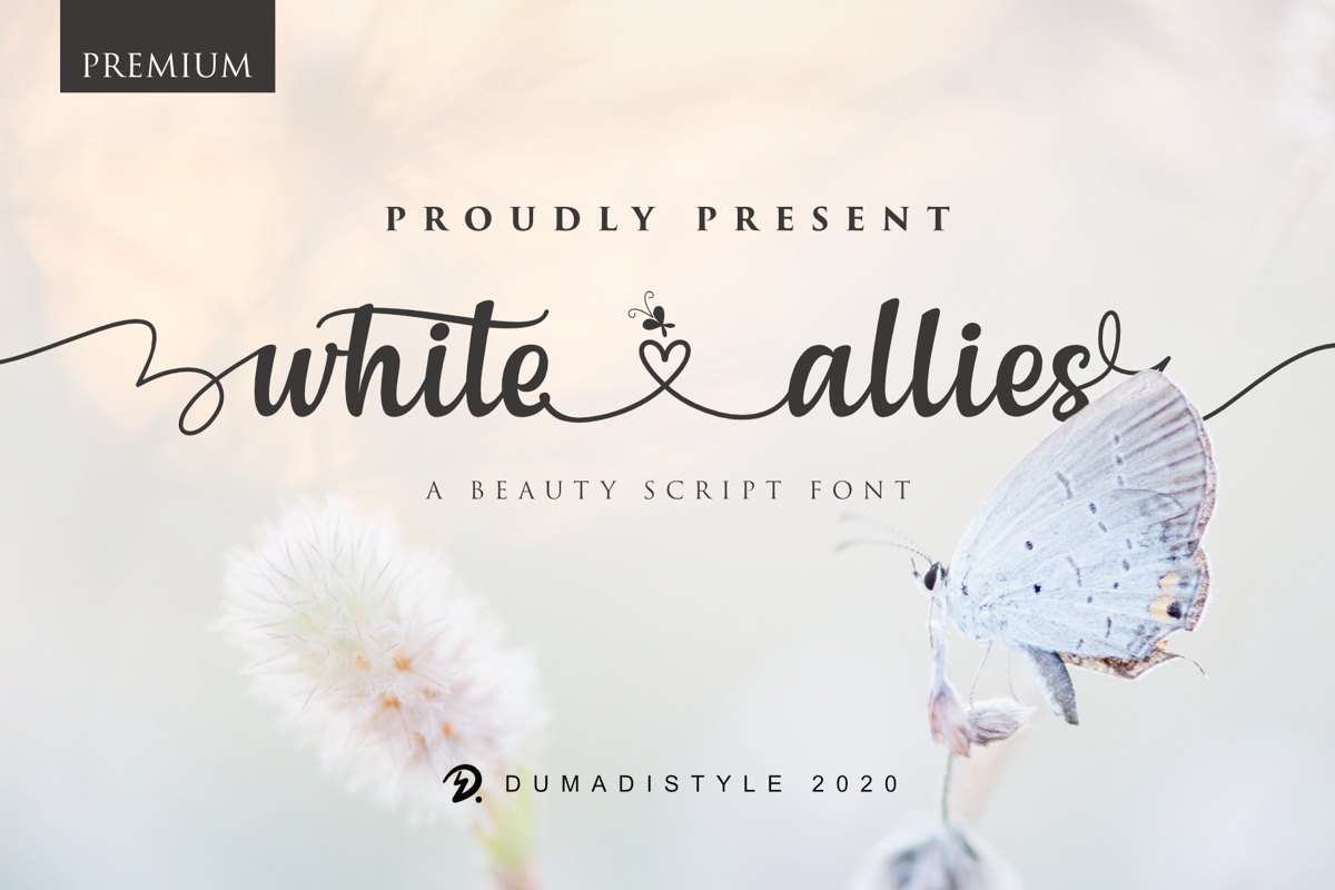 White allies Font - Free Download