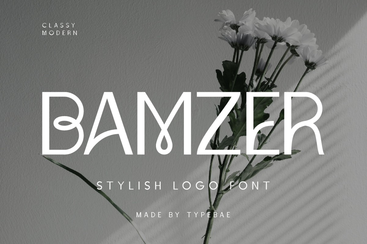 Bamzer Font | Typebae | FontSpace