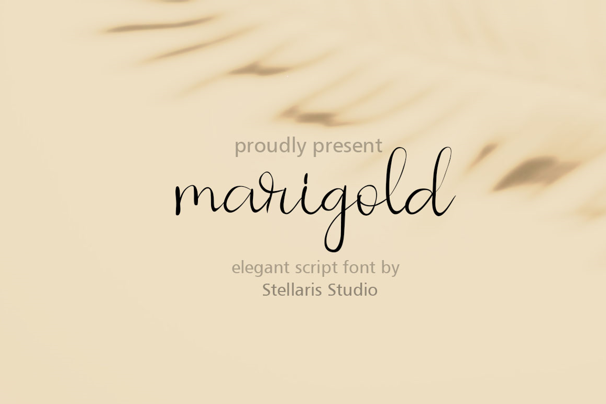 Marigold Font | StellarisStd | FontSpace