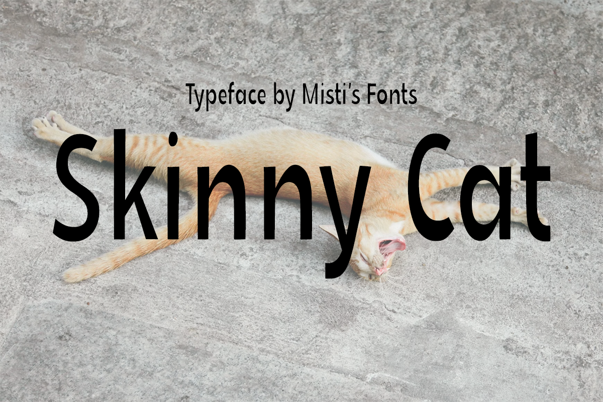 Skinny Cat Font Misti S Fonts Fontspace