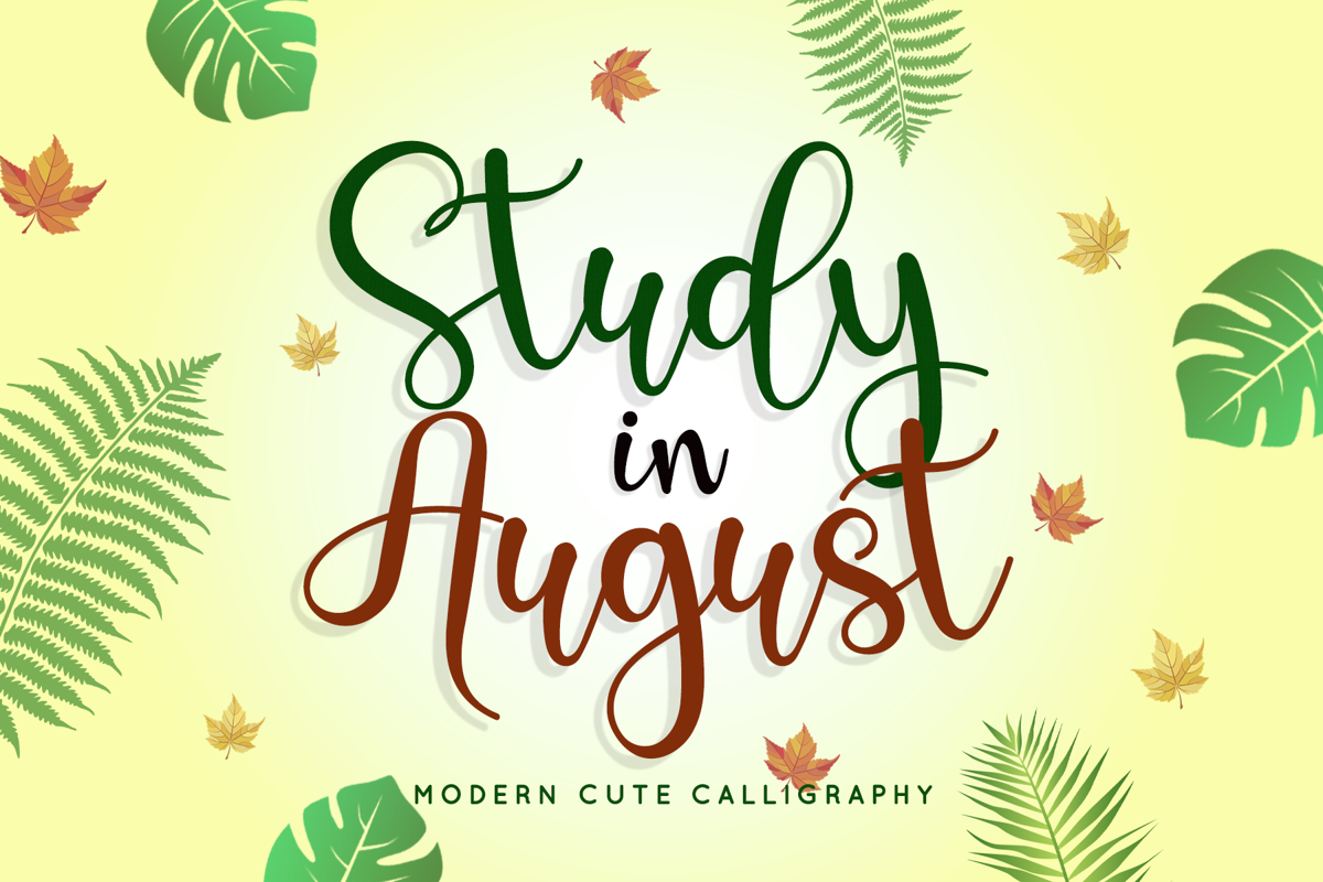 Study In August Font - Free Download