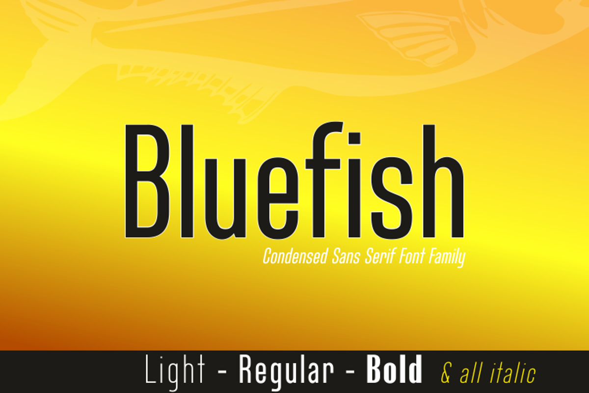 Bluefish Demo Font | studiotypo | FontSpace