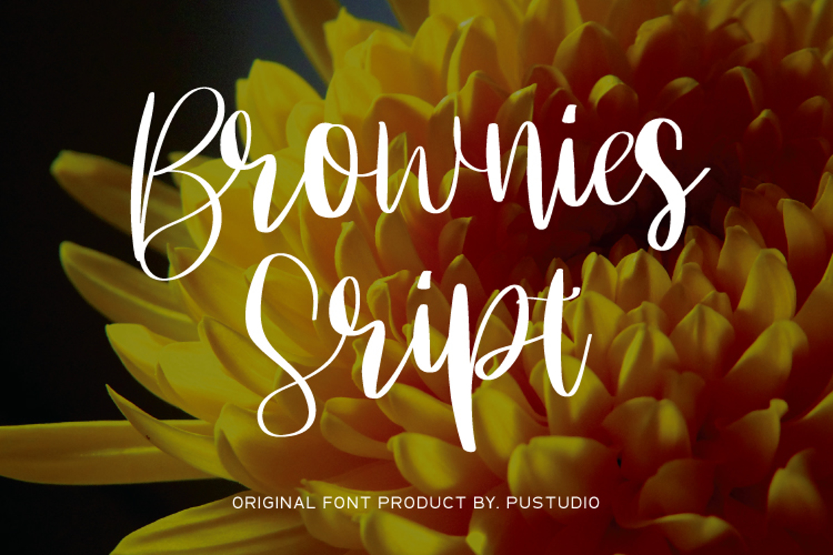 Brownies Script Font | pustudionet | FontSpace