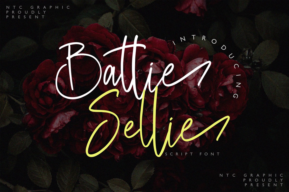 Battie Sellie Font | NTC Graphic | FontSpace