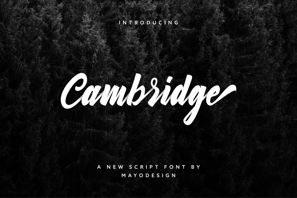 Cambridge Font - Free Download