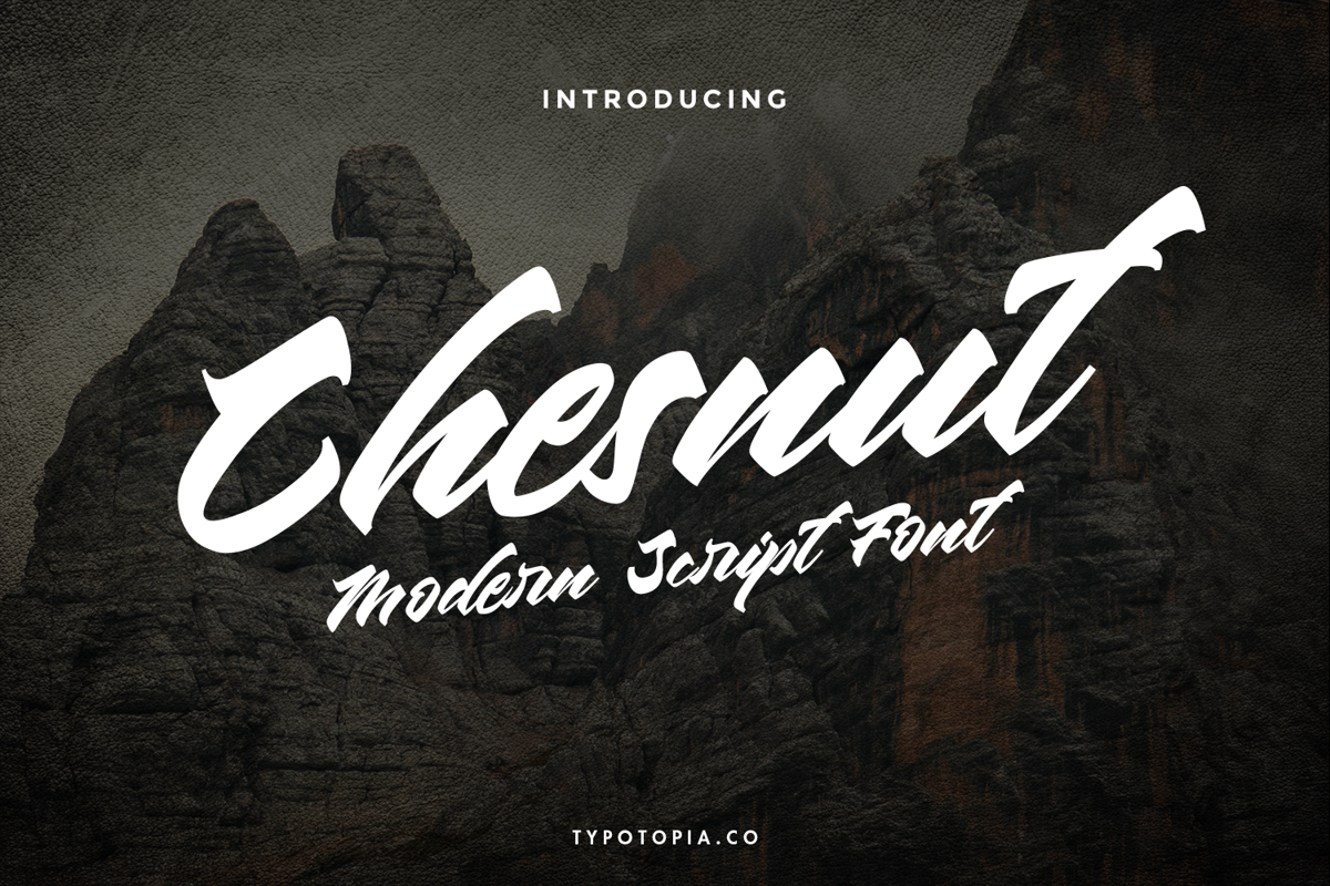 Chesnut Font | typotopia | FontSpace
