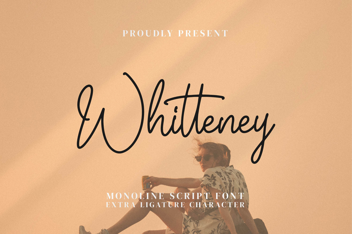 Whitteney Font | Integritype Studio | FontSpace