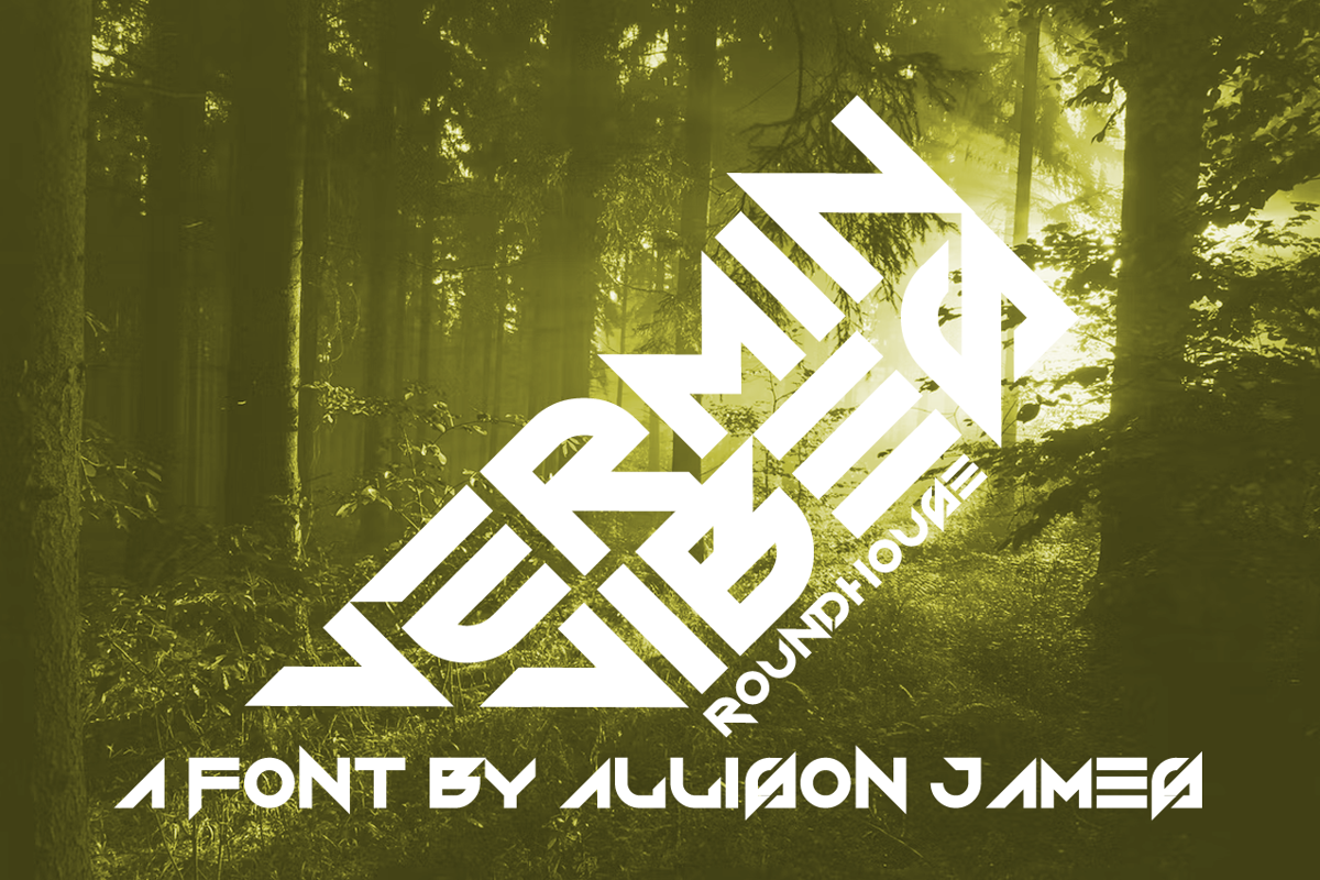 Vermin Vibes Roundhouse Font | Chequered Ink | FontSpace