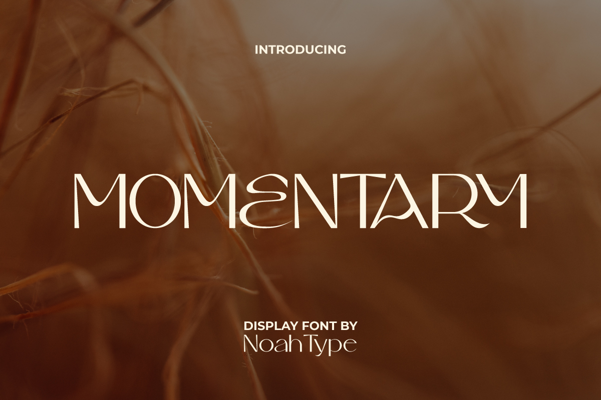 Momentary Font | noahtype | FontSpace