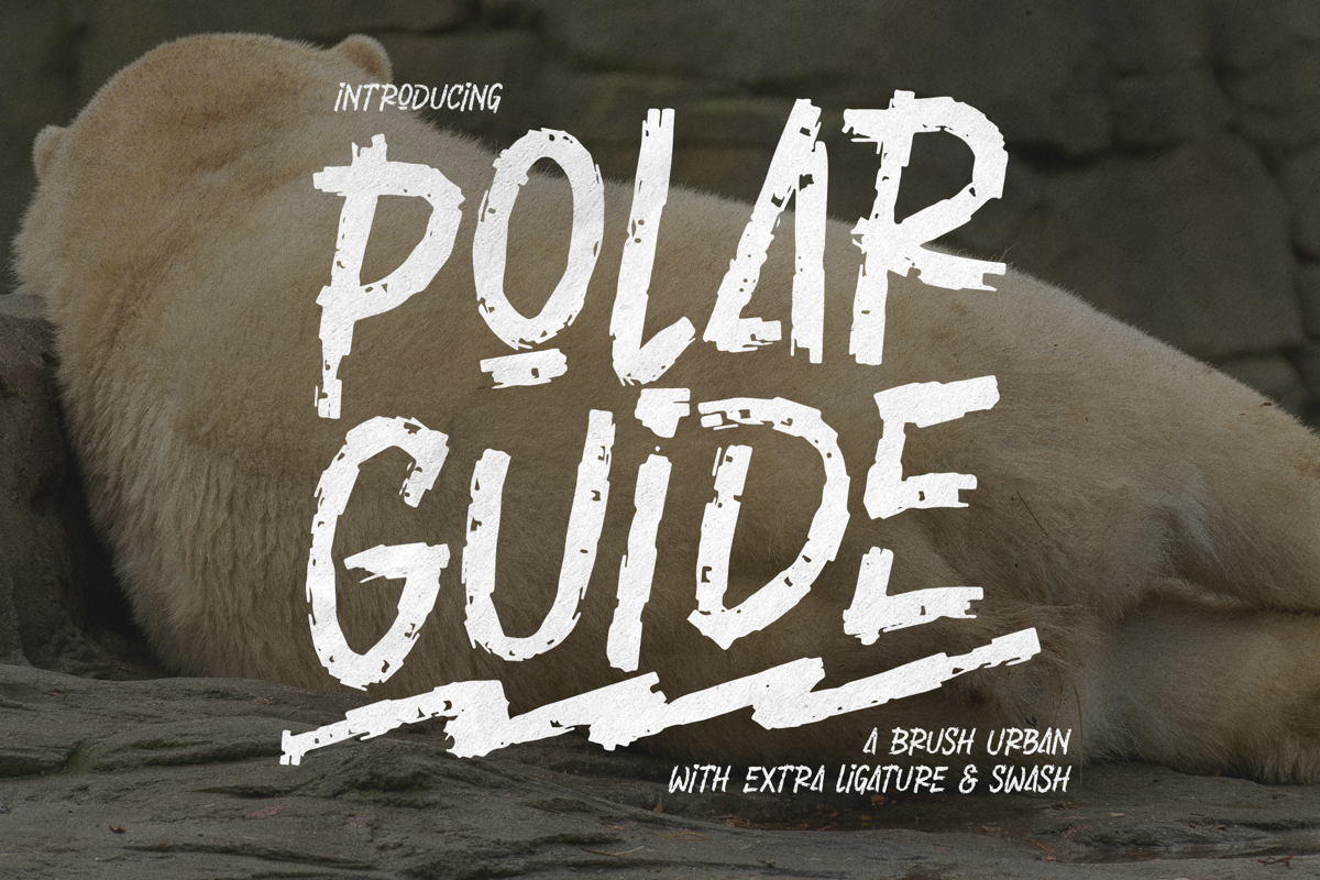 Polar Guide Font | Denustudios | FontSpace