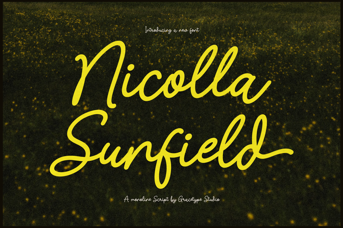 Nicolla Sunfield Font - Free Download