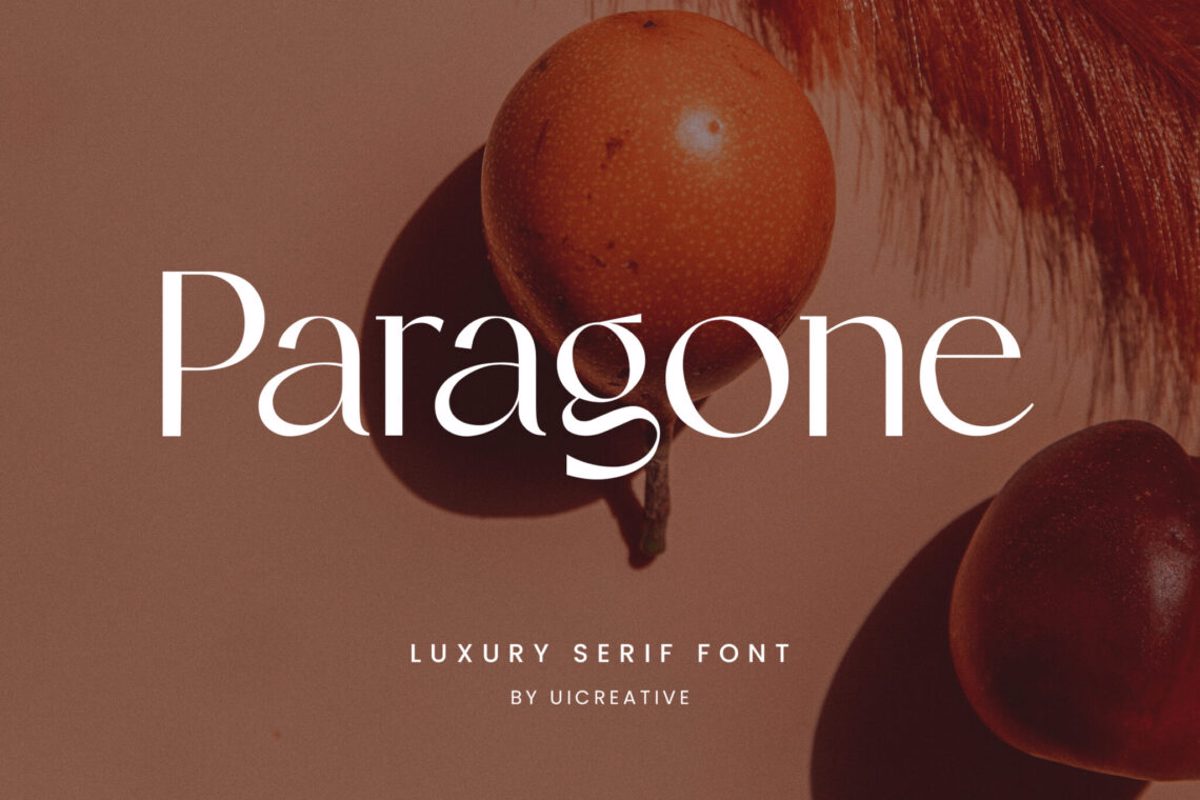Paragone Fancy Aesthetic Serif Font - Free Download
